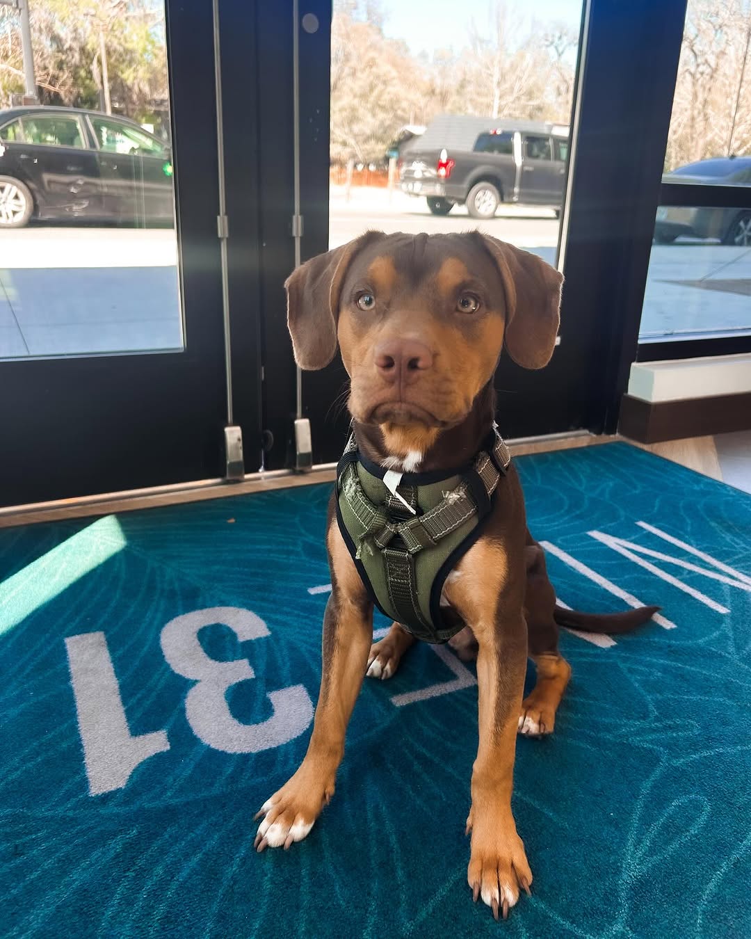 Nine 31 | Modern Student Apartments in Gainesville, FL near UF